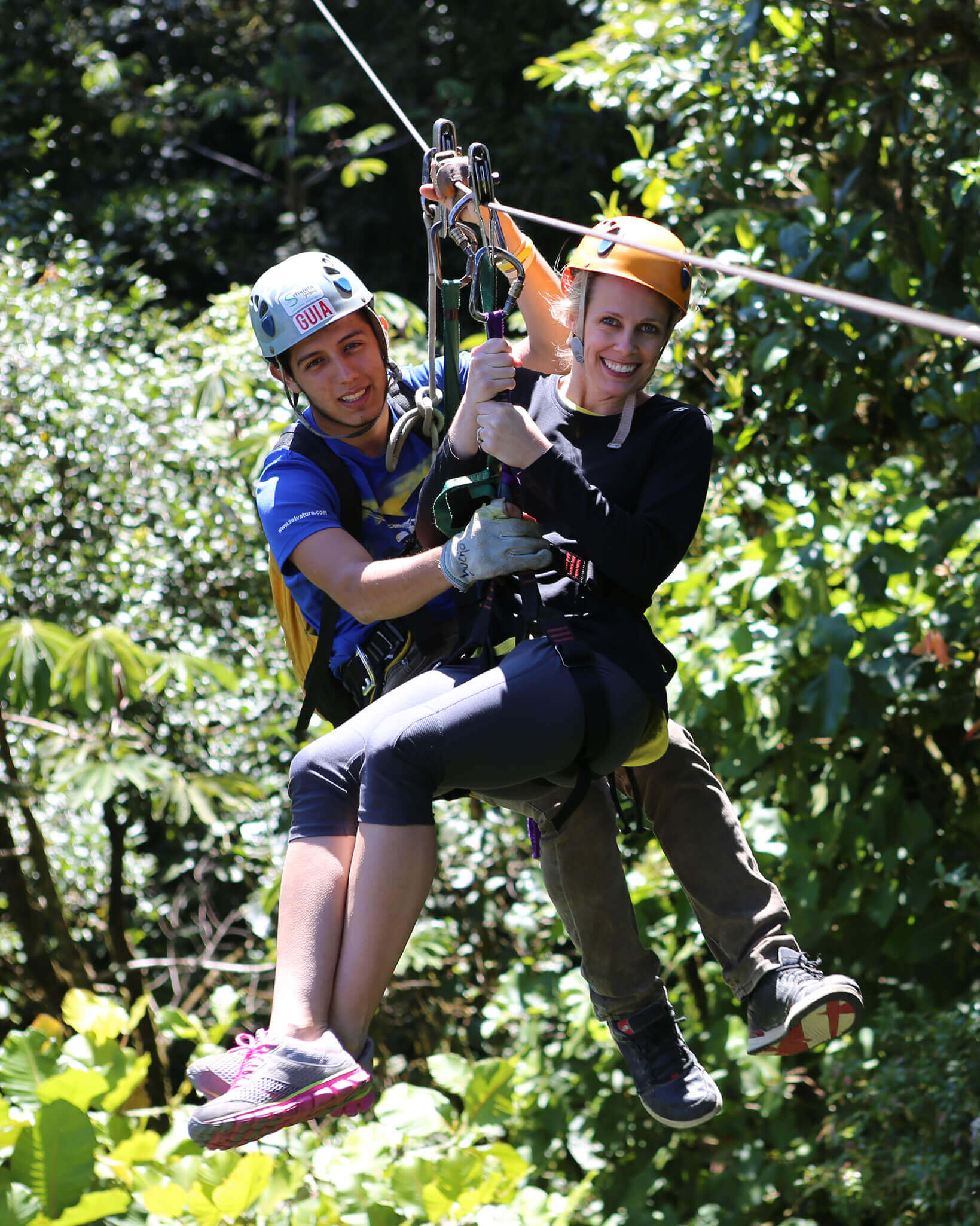 Case Study - Collette Tours - Pelmorex